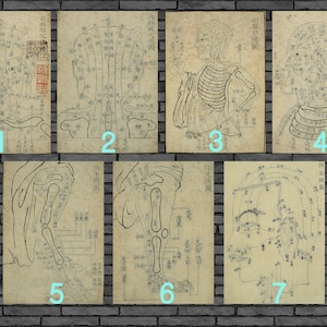 Diagram of Acupuncture Chart - Etsy