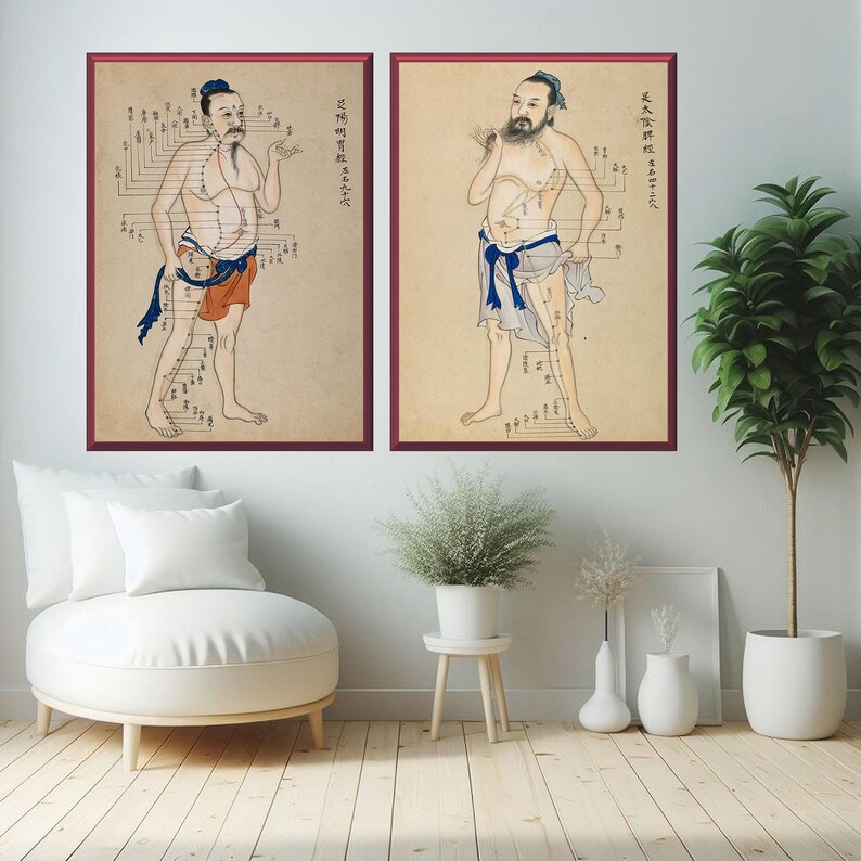 Acupuncture Chrt Body Chart Needle Theraphy Points - Etsy
