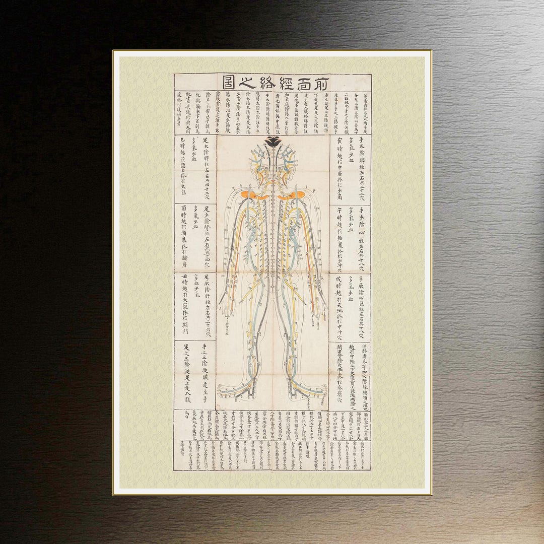 Acupuncture Chart Needle Theraphy Traditional Korean Medicine - Etsy