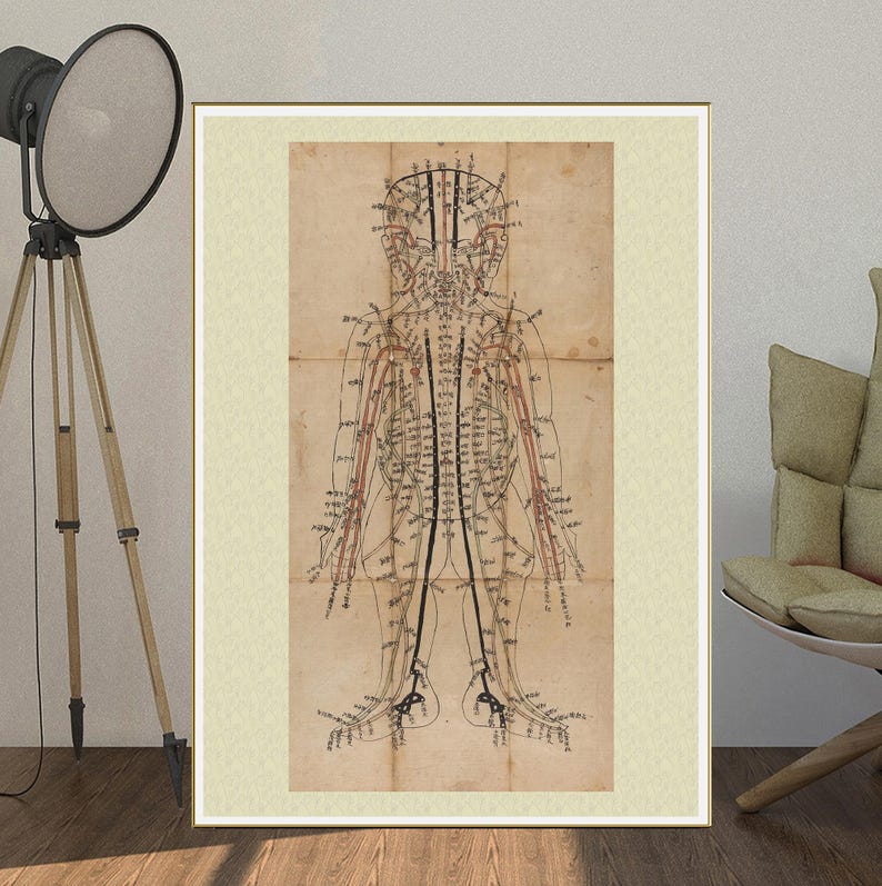 Acupuncture Chart Needle Theraphy - Etsy