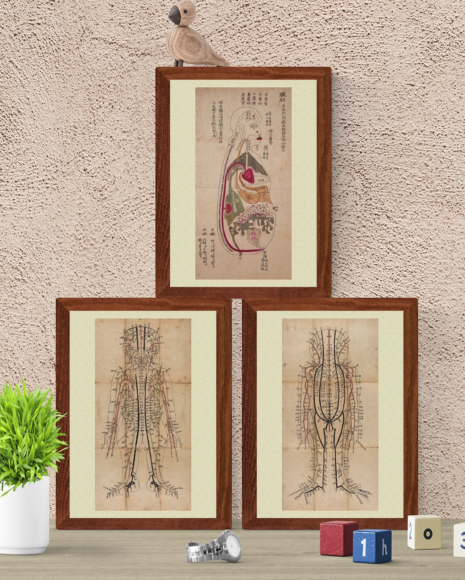 Acupuncture Chart Needle Theraphy - Etsy