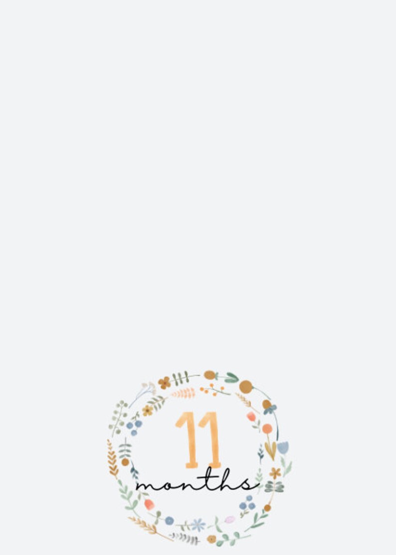 12 Month Banner, Birthday Photo Baby, First Birthday Decorations ...