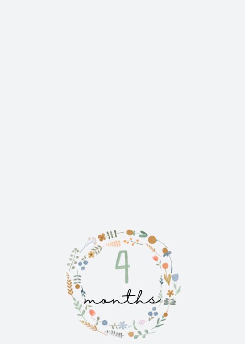 12 Month Banner, Birthday Photo Baby, First Birthday Decorations ...