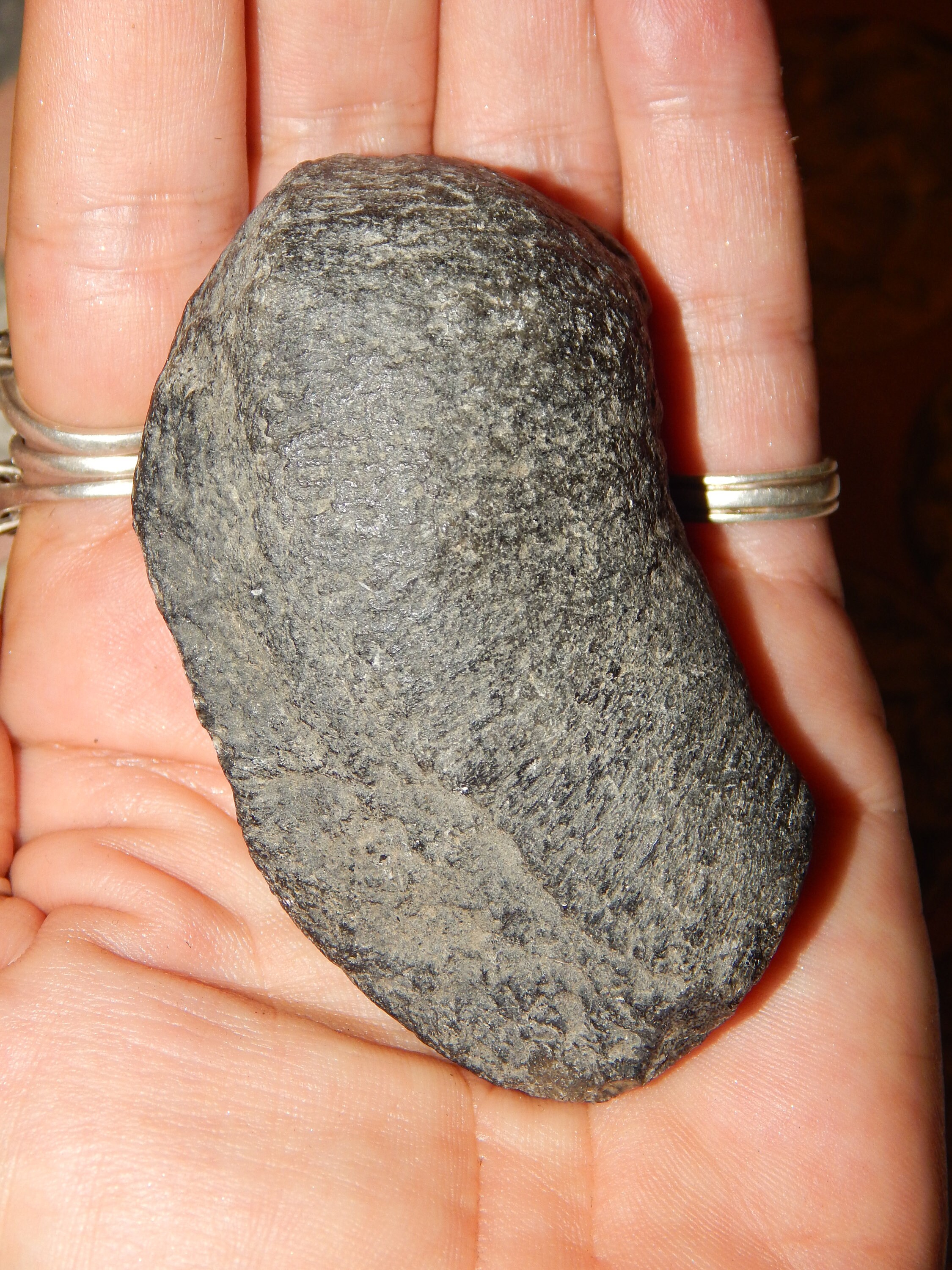 Genuine FOSSILIZED BONE Fragment Genuine Bone Fossil Real | Etsy