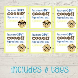 Editable End of Year Gift Tag , You Are One Smart Cookie Tag , End of ...