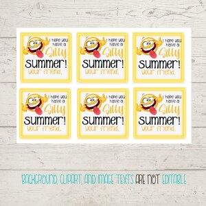 Editable End of Year Gift Tag , Have a Silly Summer Tag , End of Year ...