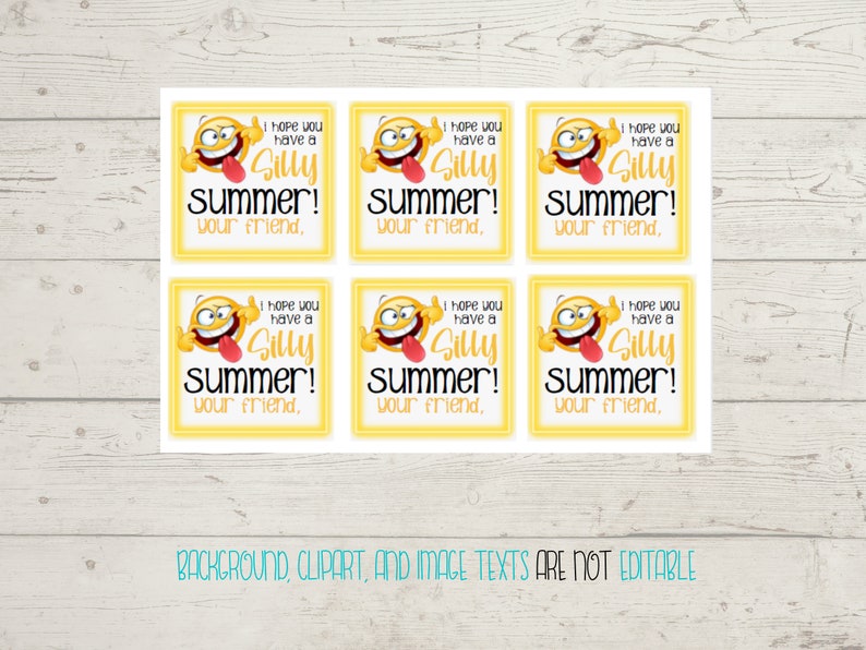 Editable End of Year Gift Tag , Have a Silly Summer Tag , End of Year ...