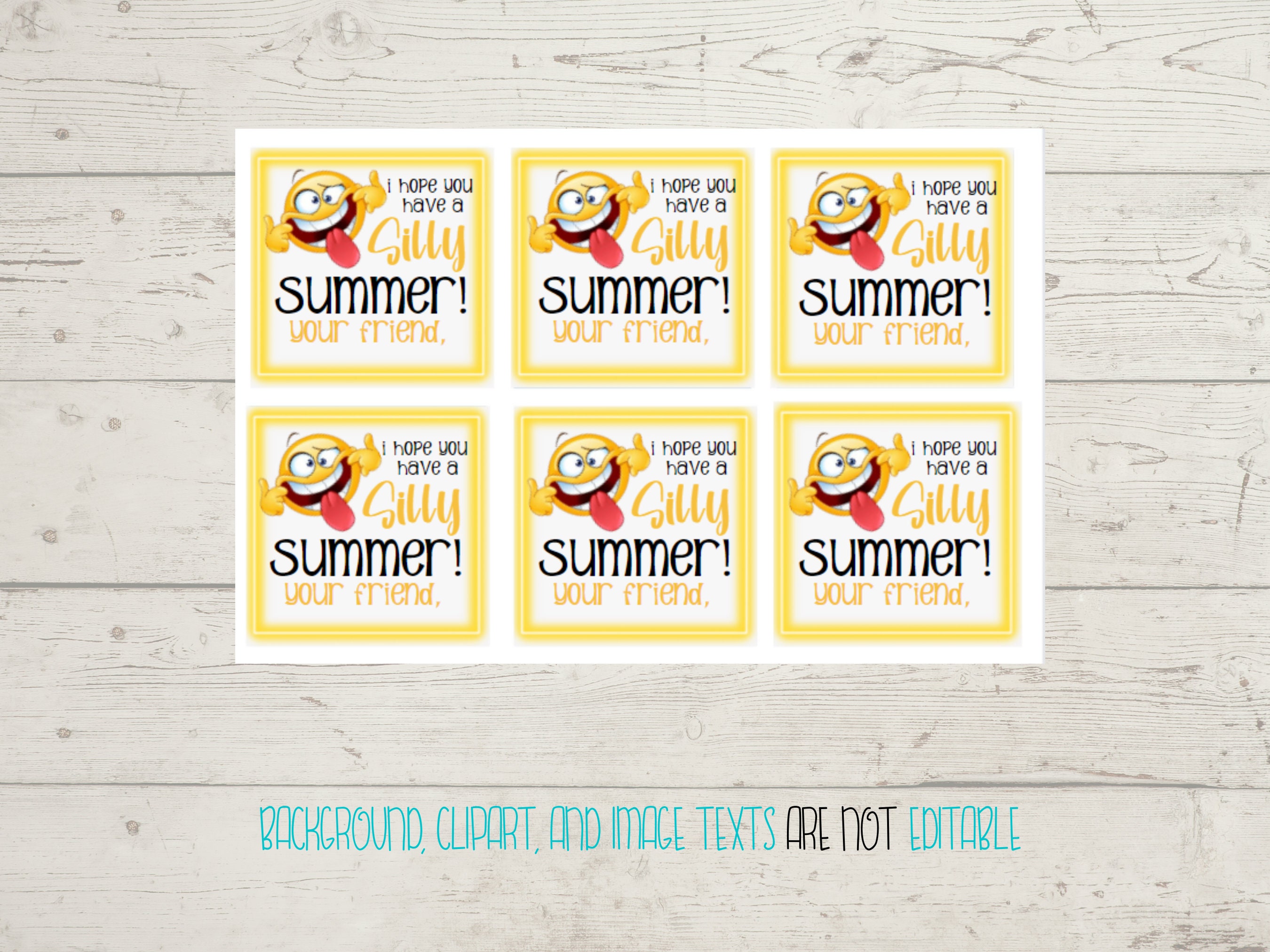 Editable End of Year Gift Tag , Have a Silly Summer Tag , End of Year ...