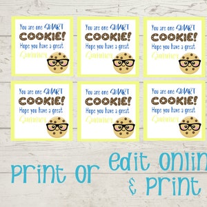 Editable End of Year Gift Tag , You Are One Smart Cookie Tag , End of ...