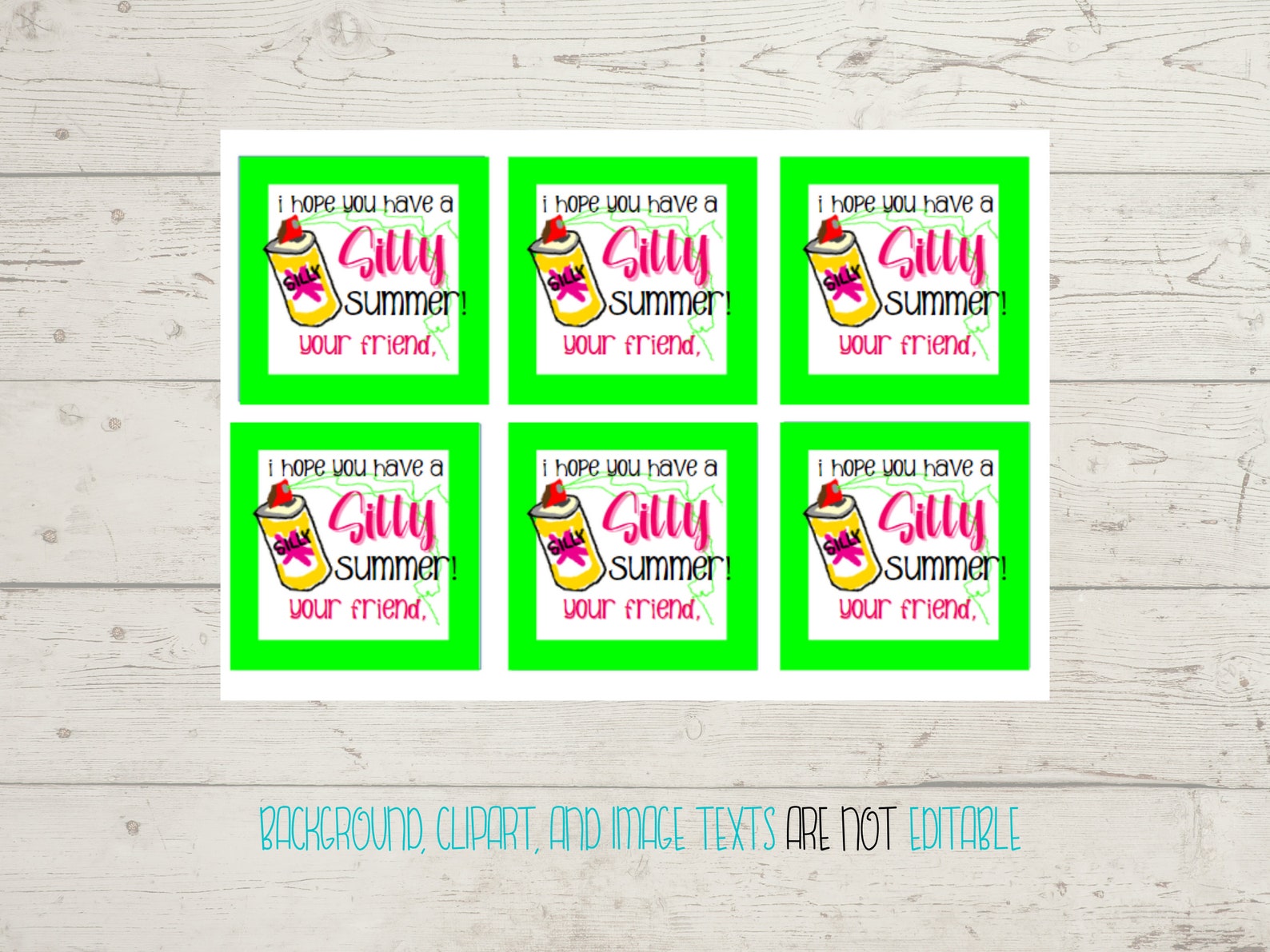 Editable End of Year Gift Tag Have a Silly Summer Tag End - Etsy