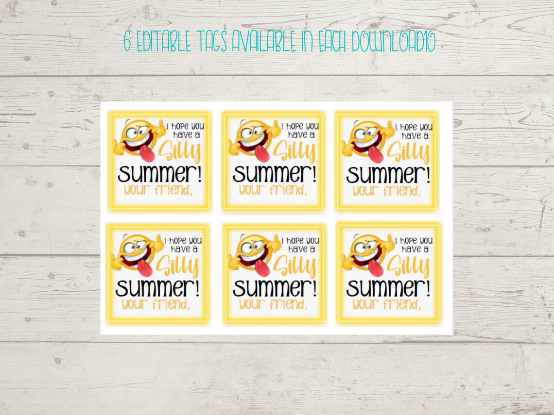 Editable End of Year Gift Tag , Have a Silly Summer Tag , End of Year ...