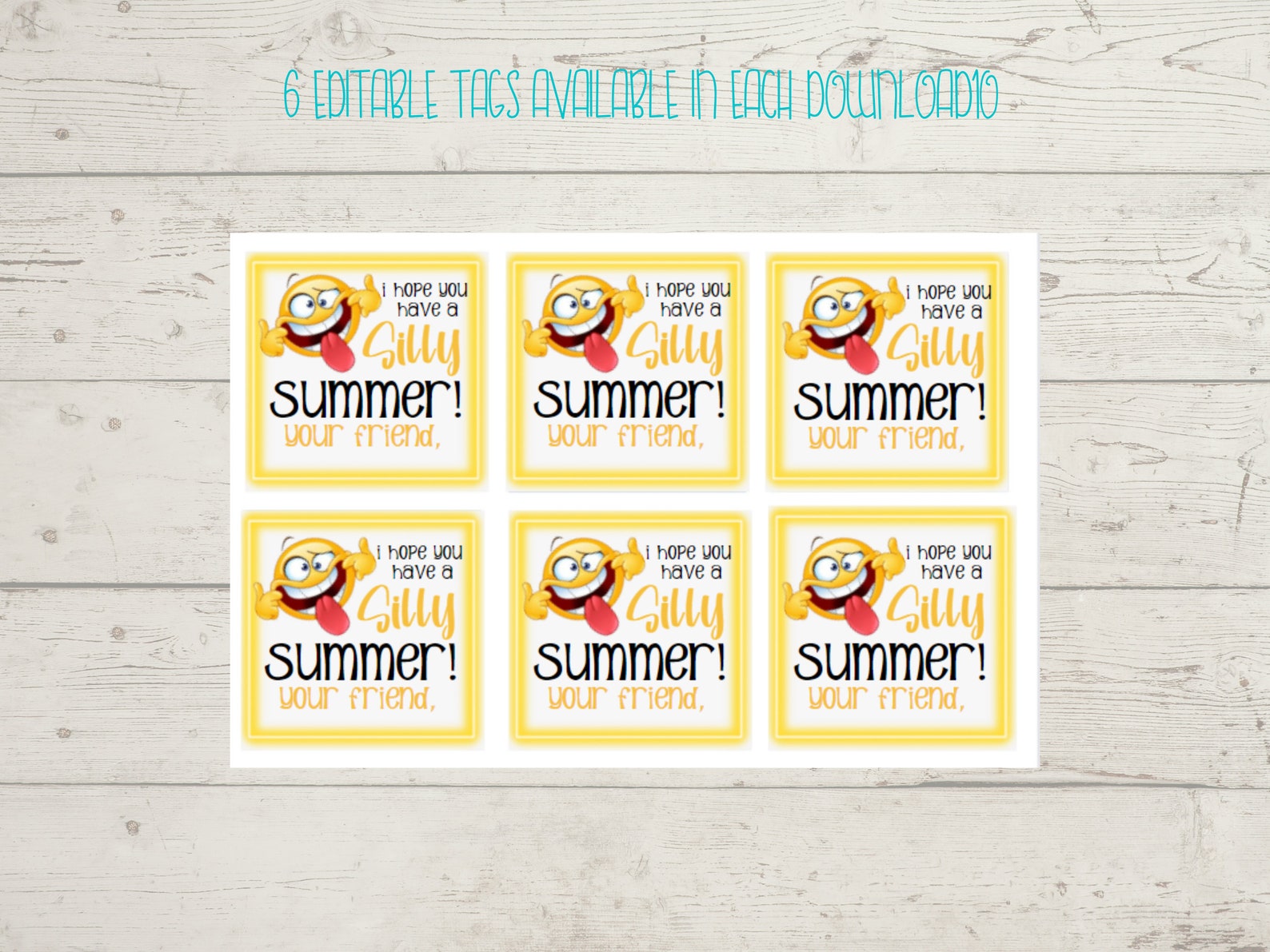 Editable End of Year Gift Tag , Have a Silly Summer Tag , End of Year ...