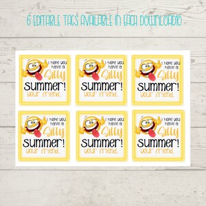 Editable End of Year Gift Tag , Have a Silly Summer Tag , End of Year ...