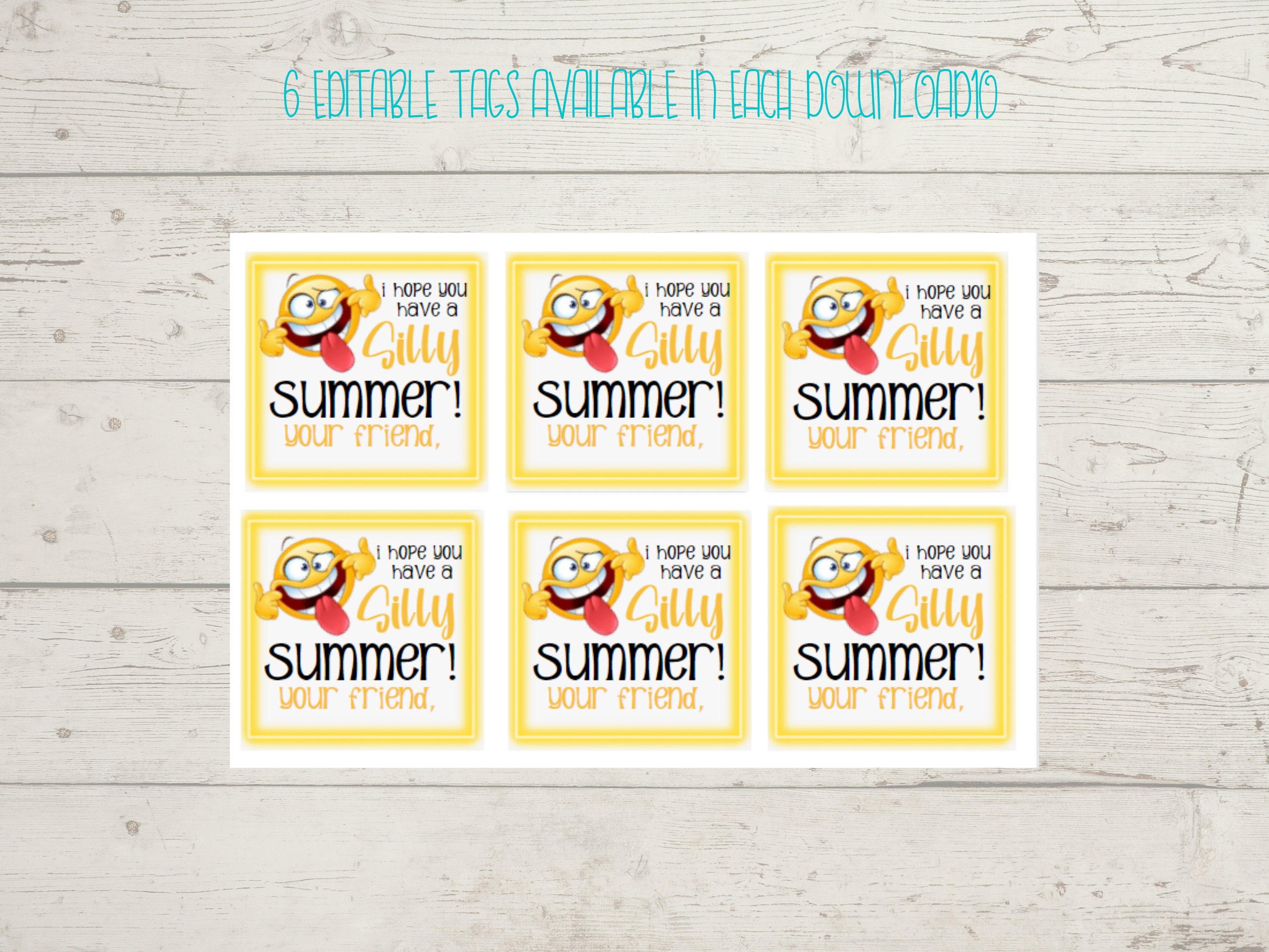 Editable End of Year Gift Tag , Have a Silly Summer Tag , End of Year ...