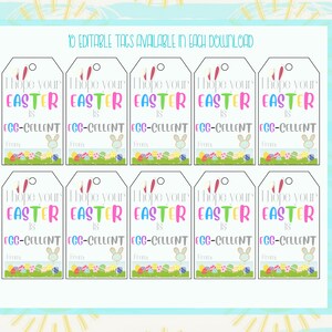 Editable Easter Eggcellent Favor Tag , Eggcellent Tag , Easter Tag ...