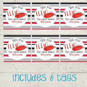 Editable Frisbee Favor Tag , Year Flew by Tag , End of School Tag ...