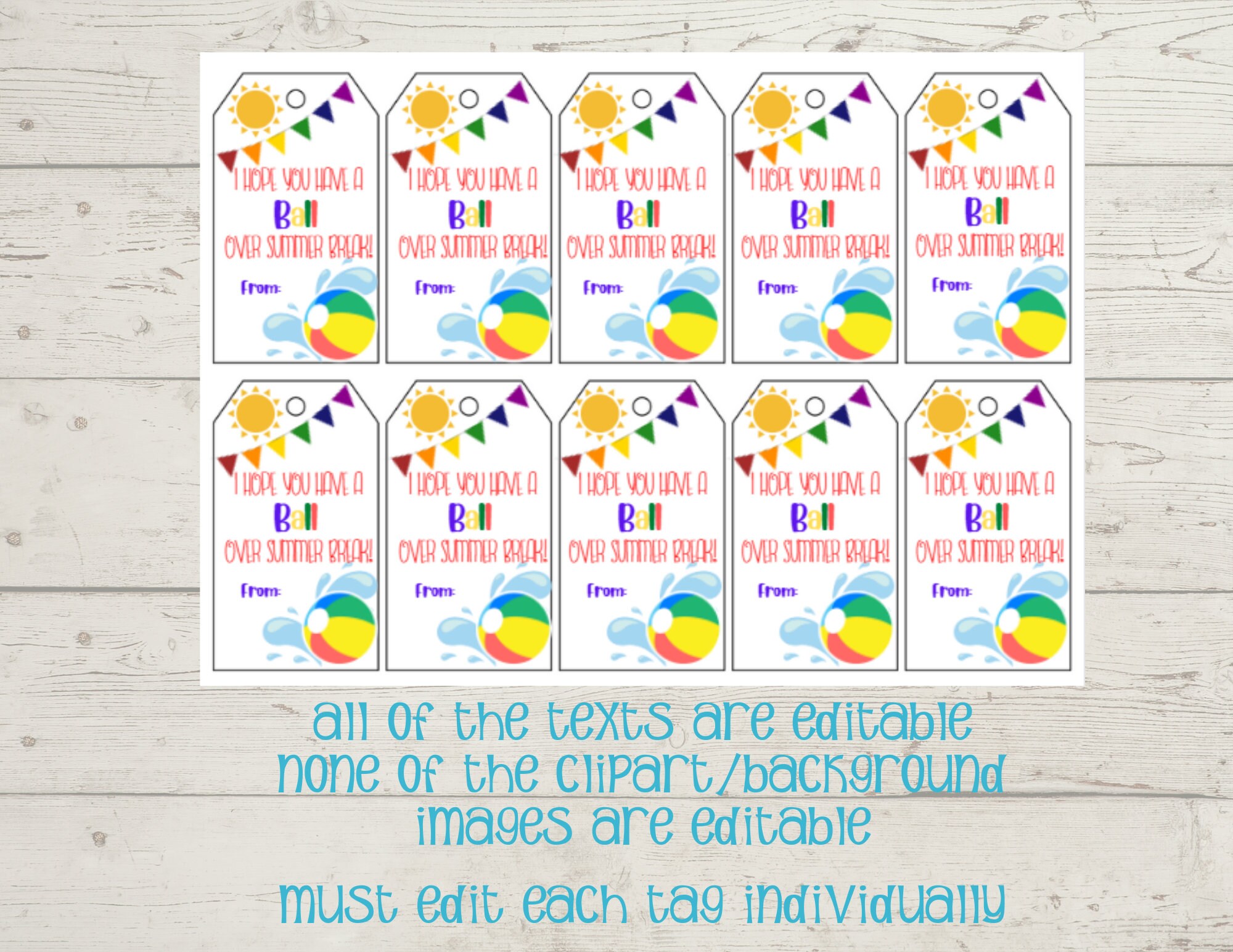 Editable End of Year Gift Tag , Have a Ball Tag , End of Year Gift Tags ...