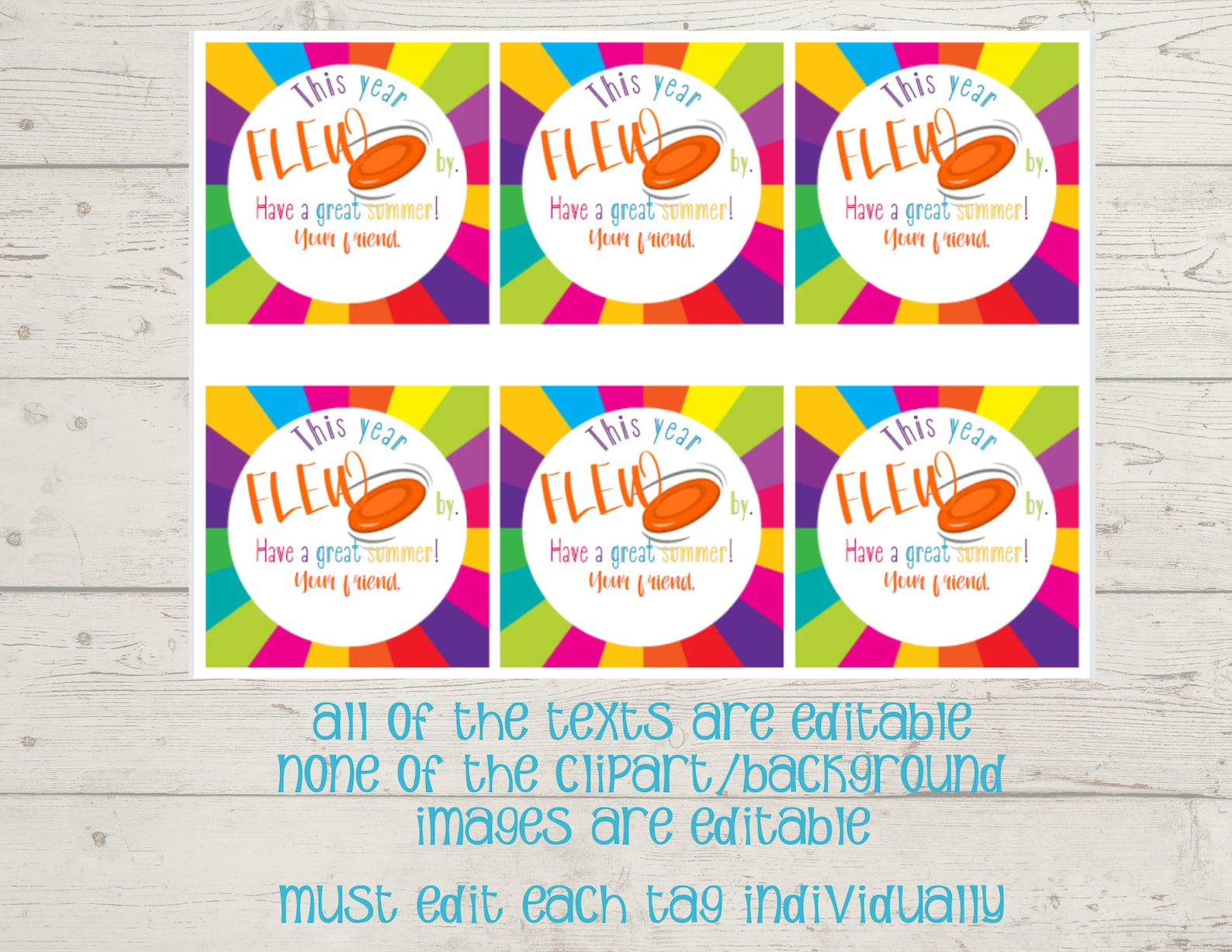 Editable Frisbee Favor Tag , Year Flew by Tag , End of School Tag ...
