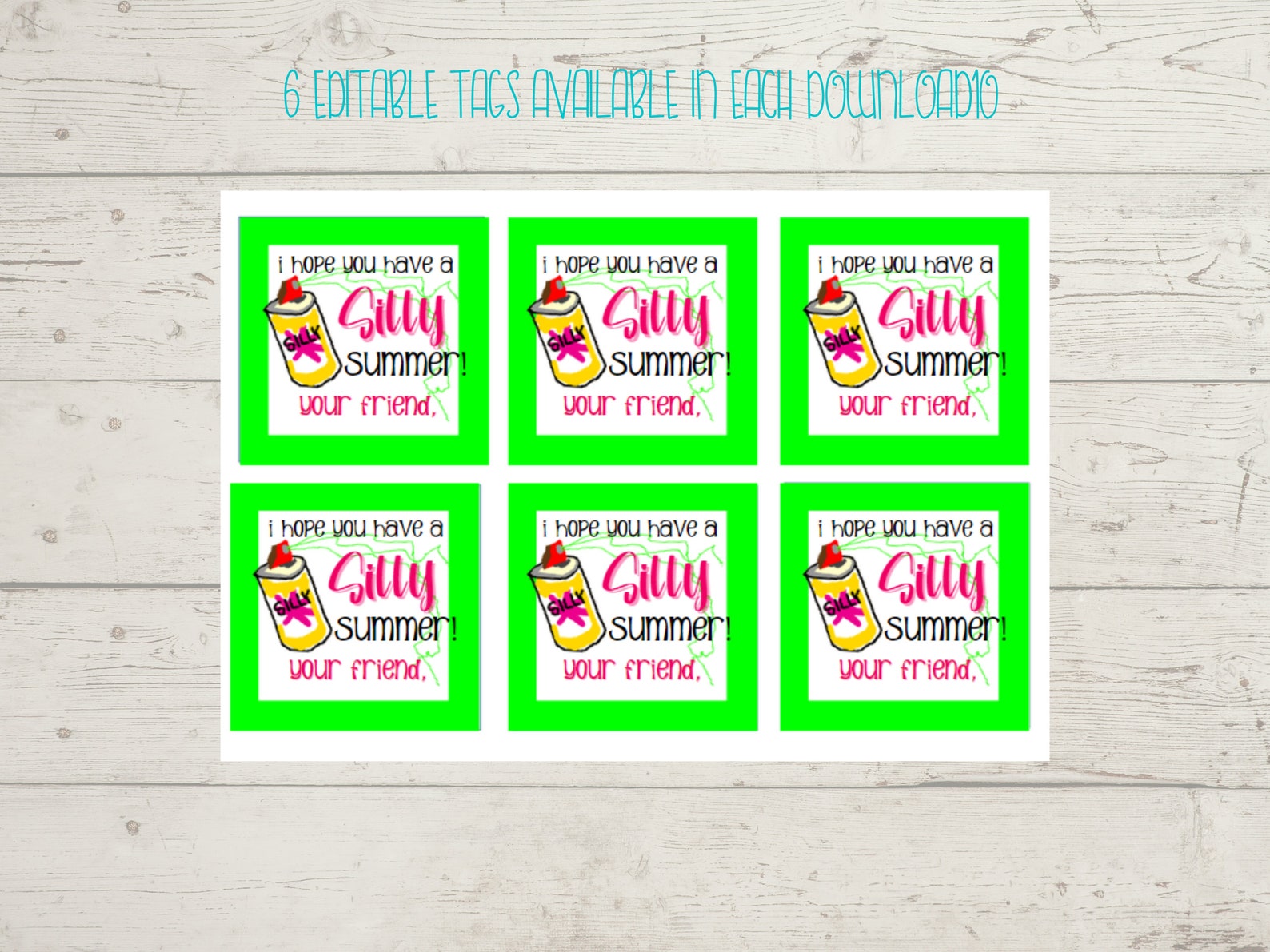 Editable End of Year Gift Tag Have a Silly Summer Tag End - Etsy