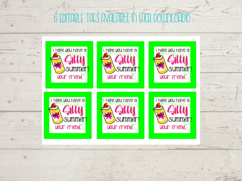 Editable End of Year Gift Tag Have a Silly Summer Tag End - Etsy