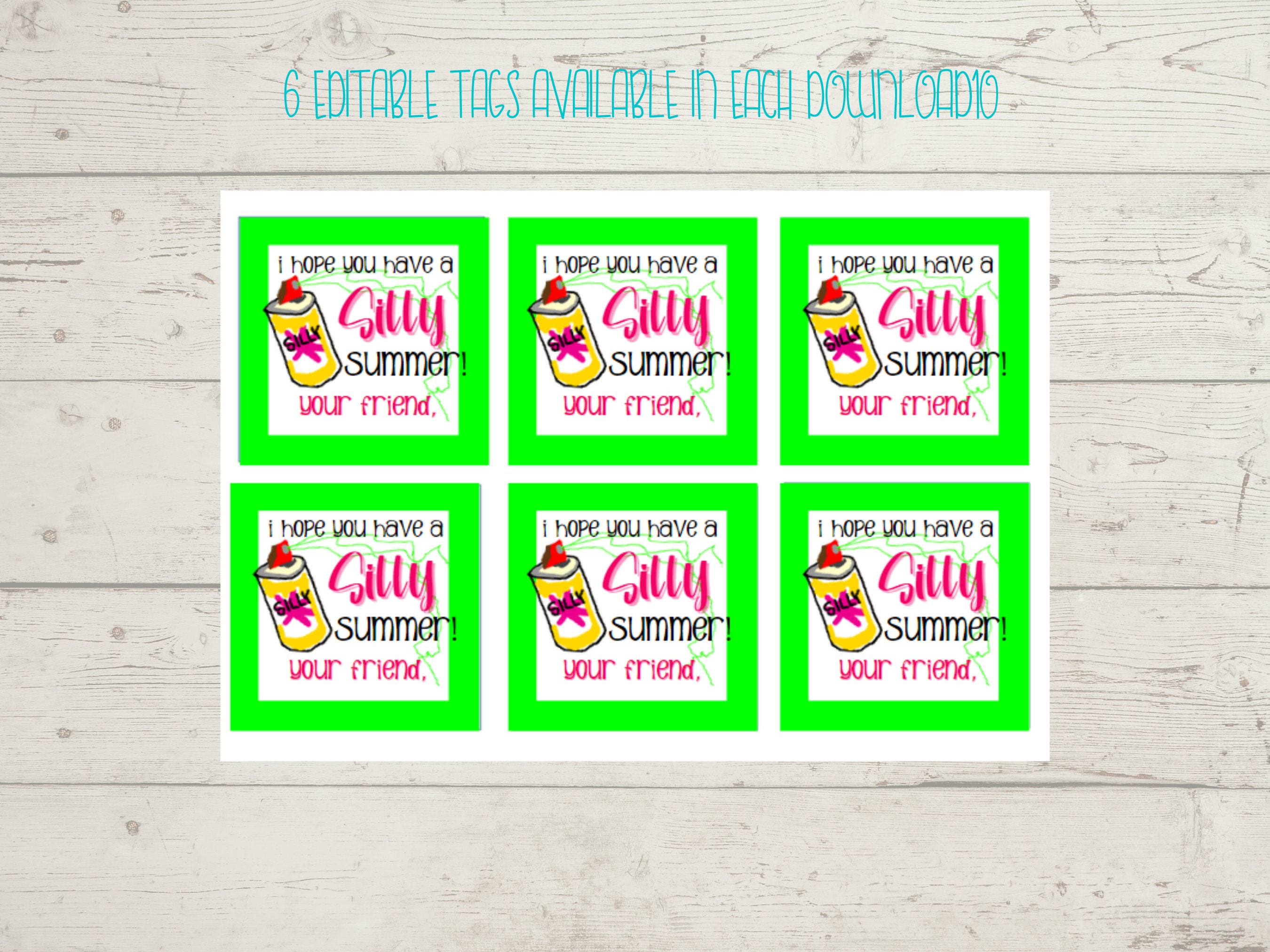 Editable End of Year Gift Tag , Have a Silly Summer Tag , End of Year ...