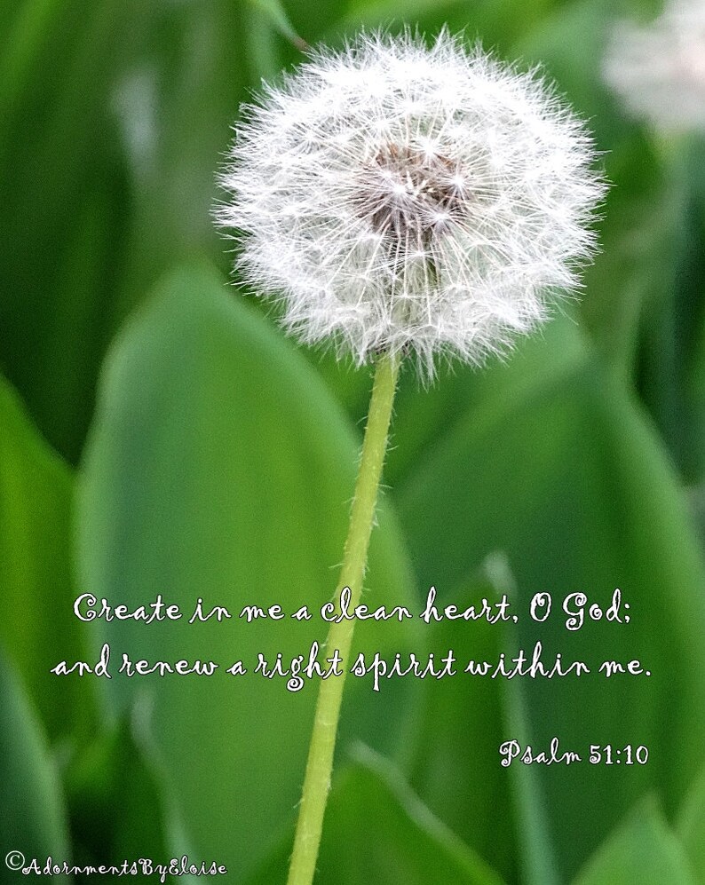 White Dandelion Scripture Photograph-scripture Wall Art-religious Decor ...