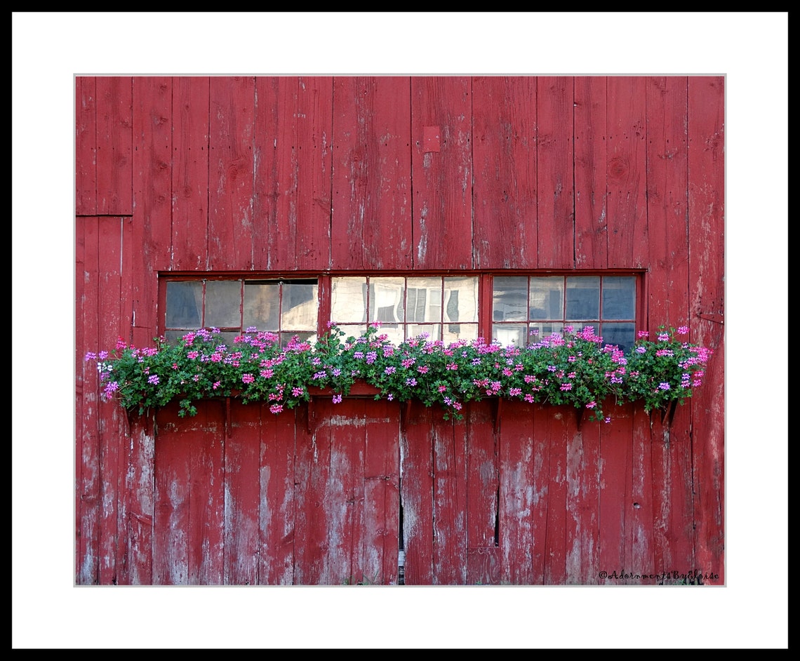 Rustic Red Barn With Pink Geraniums Photograph Rustic Red - Etsy