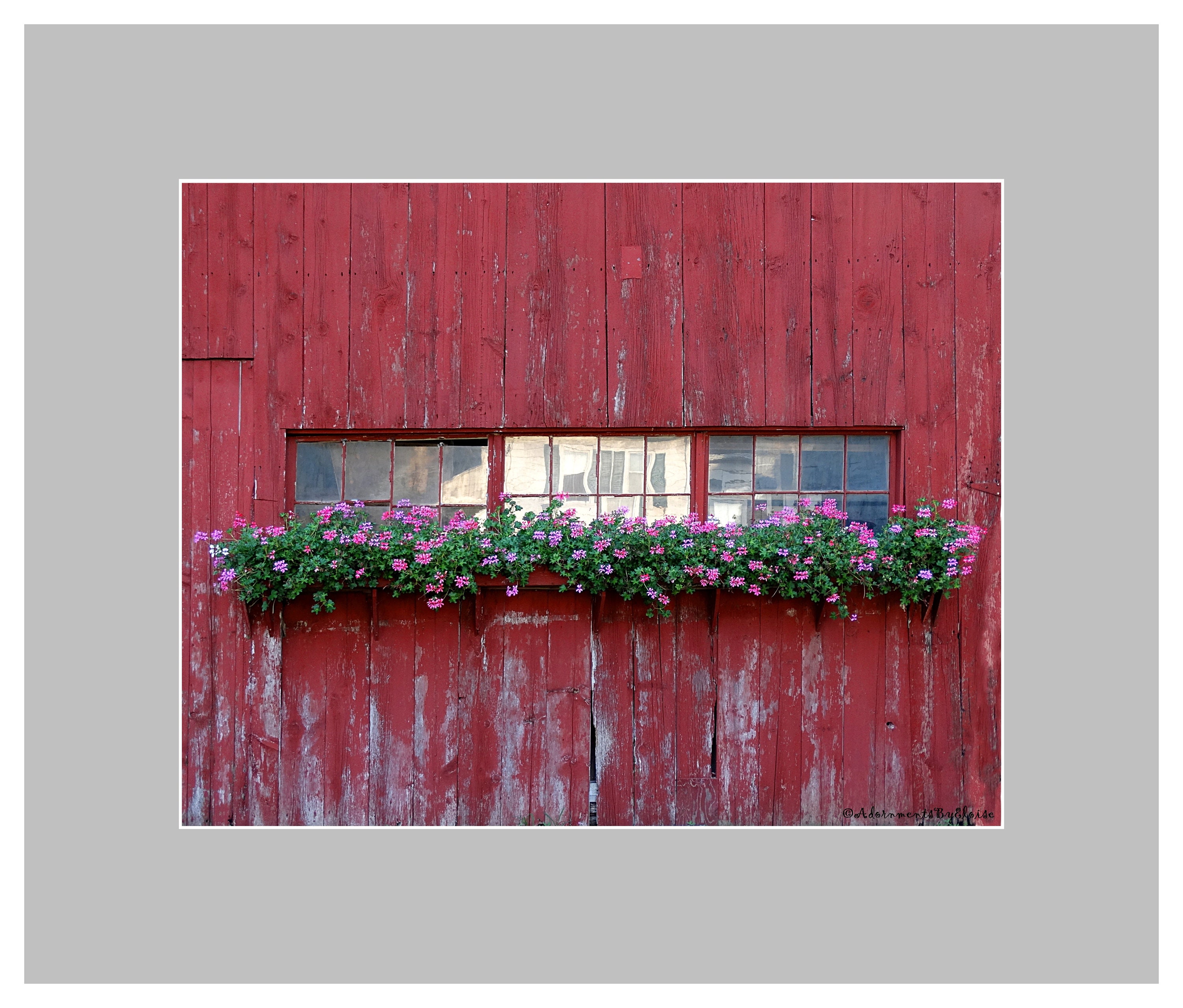 Rustic Red Barn With Pink Geraniums Photograph Rustic Red - Etsy
