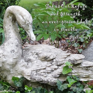 Garden Swan Bible Verse Print, Scripture Wall Art, Psalm 46:1, Swan ...