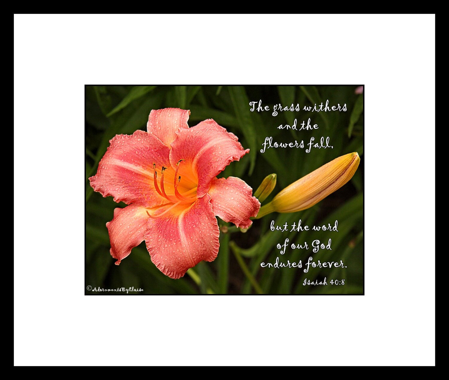 Orange Day Lily Bible Verse Print, Scripture Wall Art, Isaiah 40:8 ...