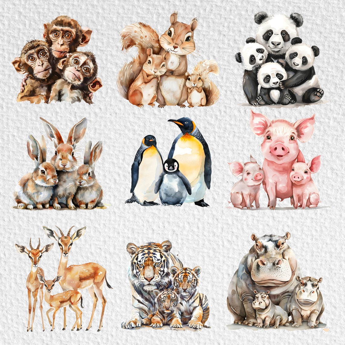 Watercolor Baby Animals PNG Clipart Bundle, and Family of Animals ...