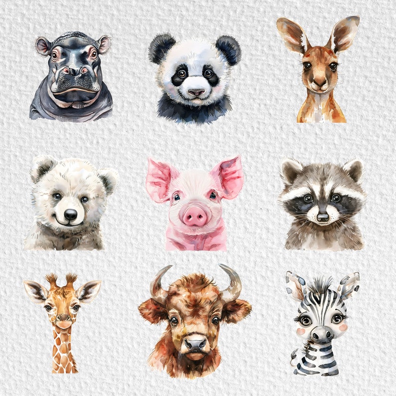 Watercolor Baby Animals PNG Clipart Bundle, and Family of Animals ...