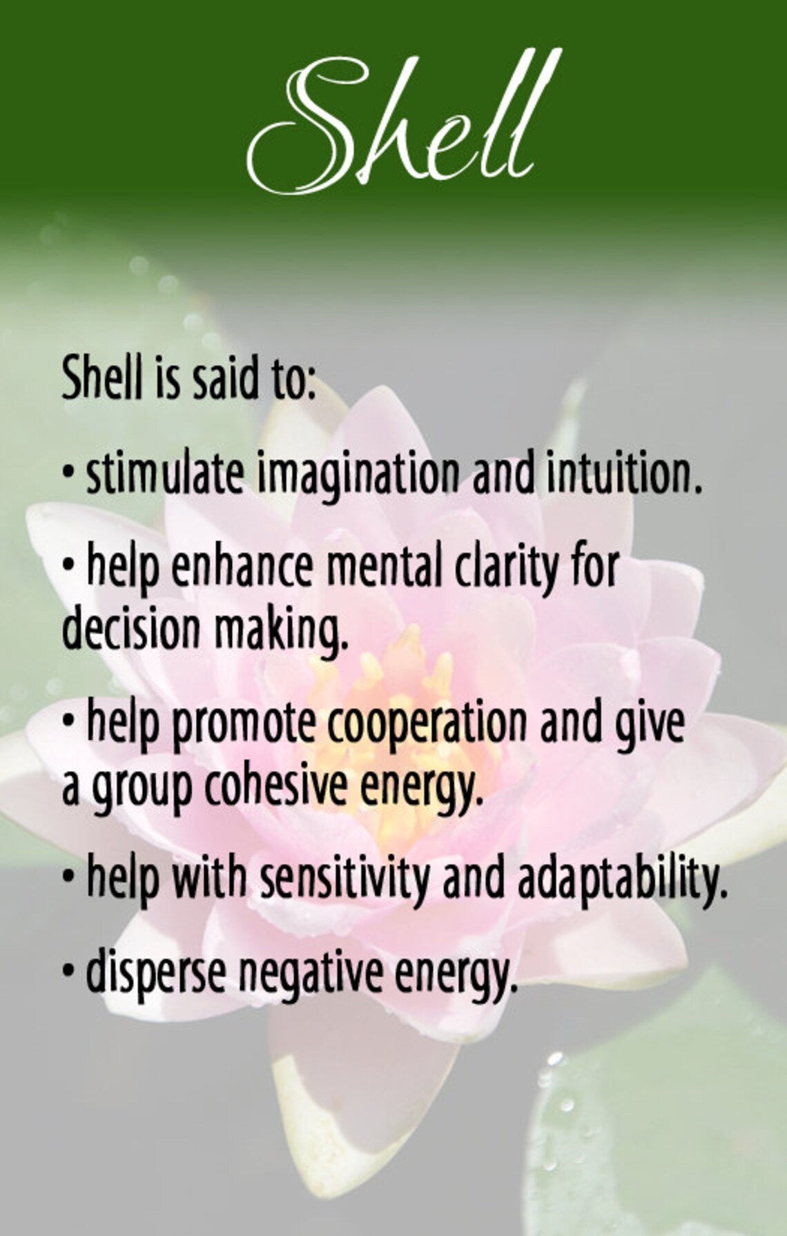 Funky Handmade Paisley Shell and Mother of Pearl Earrings - Etsy