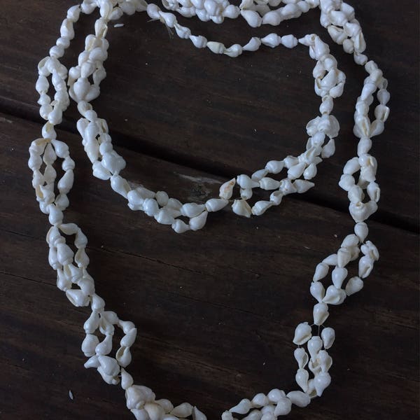 Tiny White Shells - Etsy