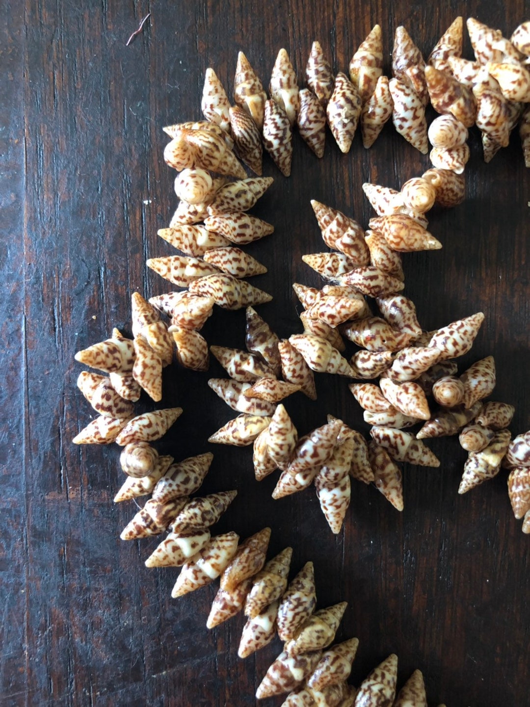 Tahiti Niihau Shell Lei/necklace - Etsy