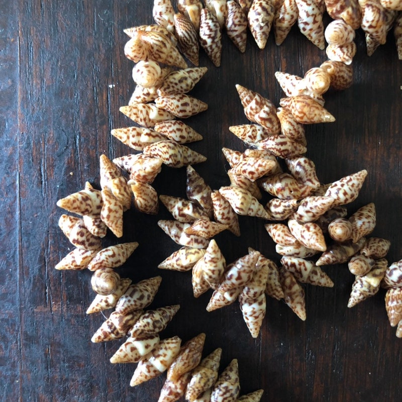 Niihau Shell Necklace - Etsy