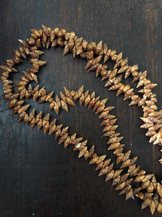 Tahiti Niihau shell lei/necklace - Gem