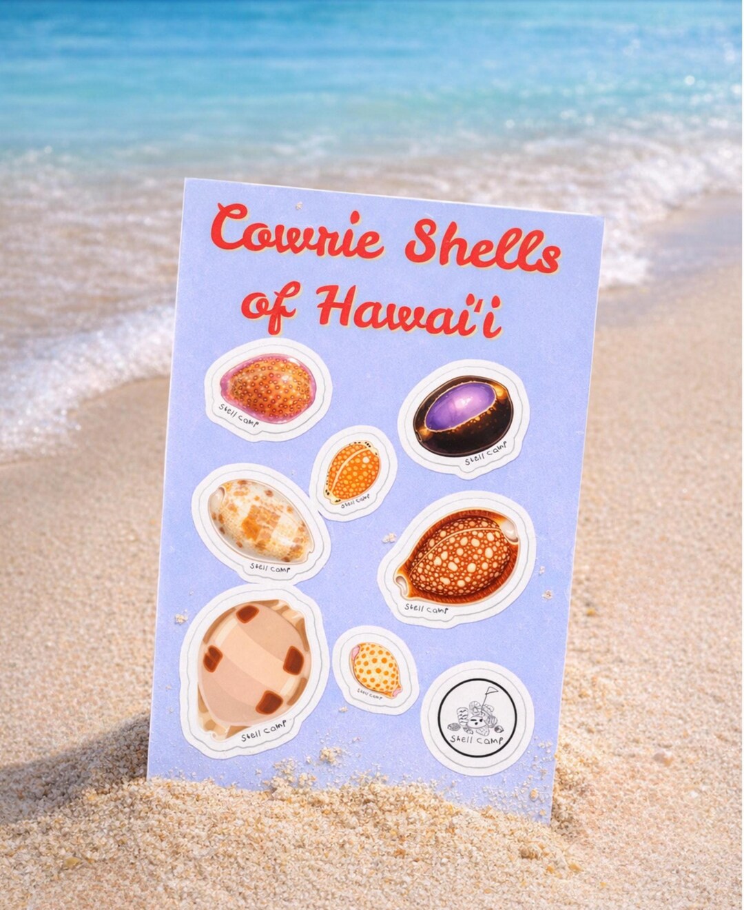 Hawaiian Cowry Sticker Sheet - Etsy