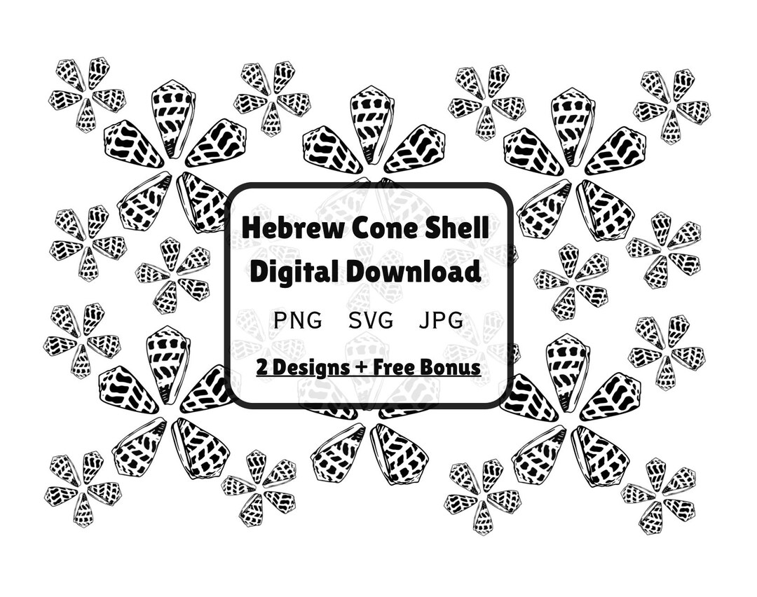 Hebrew Cone Shell Pattern SVG Bundle | Hawaiian Seashell Design ...