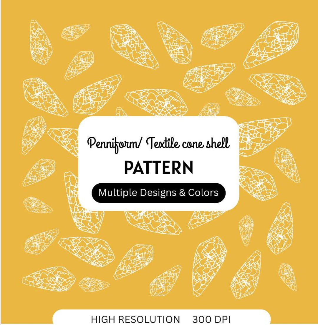 Textile Cone Shell Pattern SVG Bundle | Hawaiian Shell (digital ...