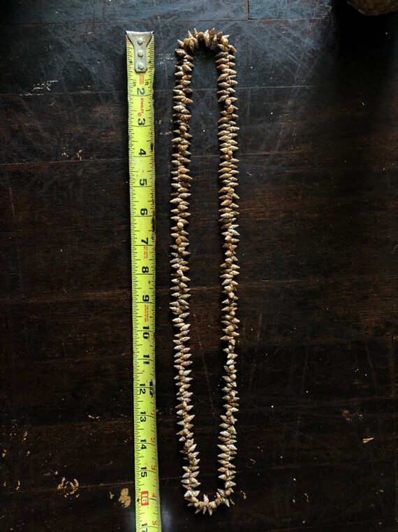 Tahiti Niihau shell lei/necklace - Gem