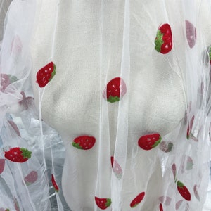 Red Strawberry Fabric, Strawberry Embroidery Tulle Lace Fabric Net ...
