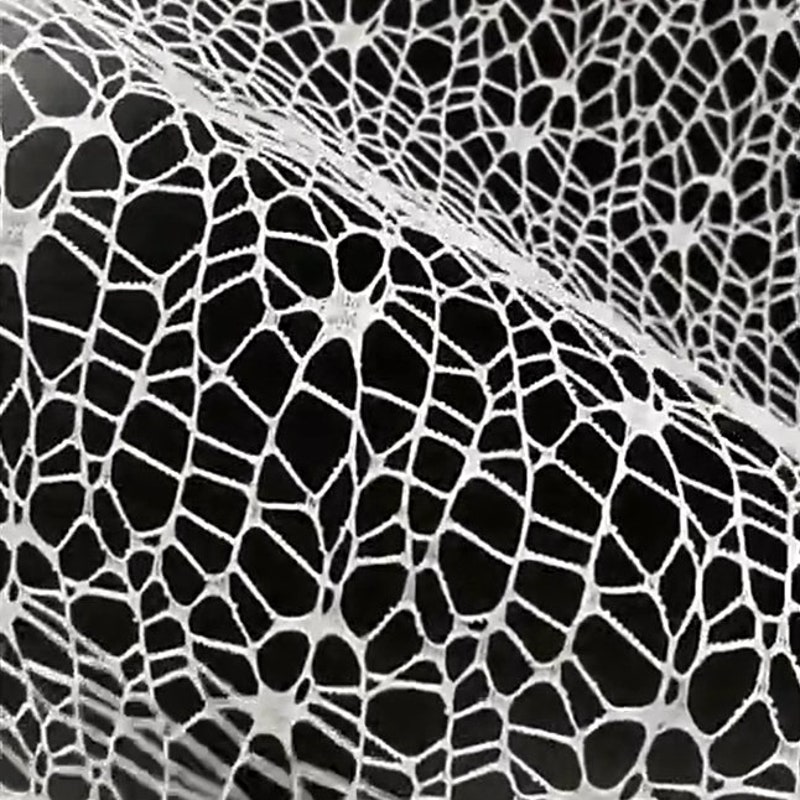 Designer Lace Fabric - Etsy