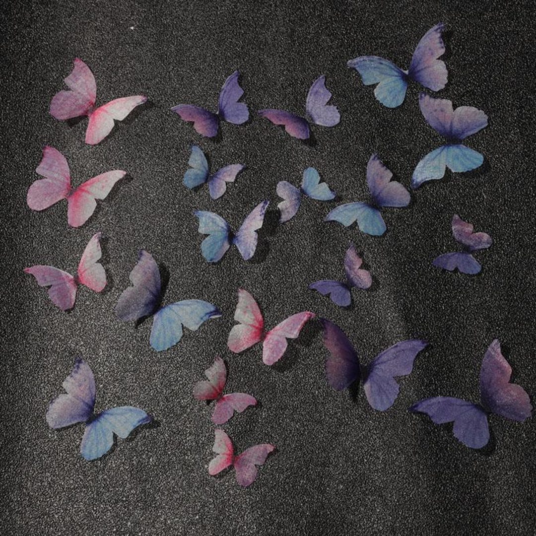 10 Pieces Single Layer Fairy Butterfly Applique, Mesh Lace Butterfly ...