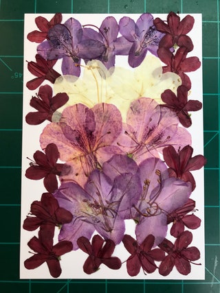 SimonesGarden - Etsy