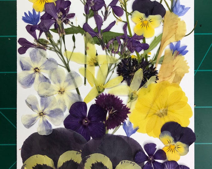 30 Edible, Assorted Pressed Flowers. the Beautiful Pack You See is the ...