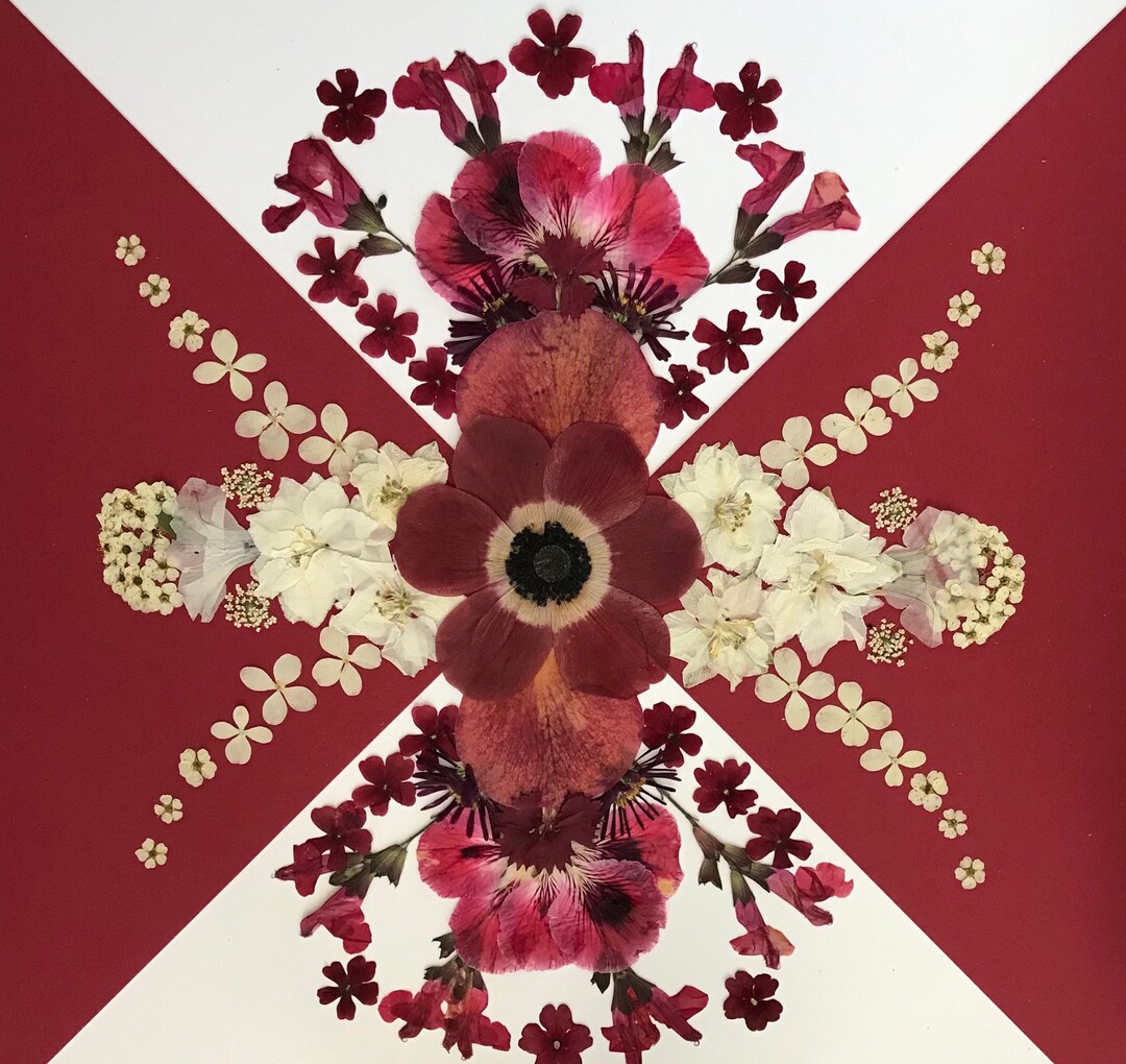 A Red and White Pressed Flower Arrangement in a Black, 12 X 12 Wooden ...