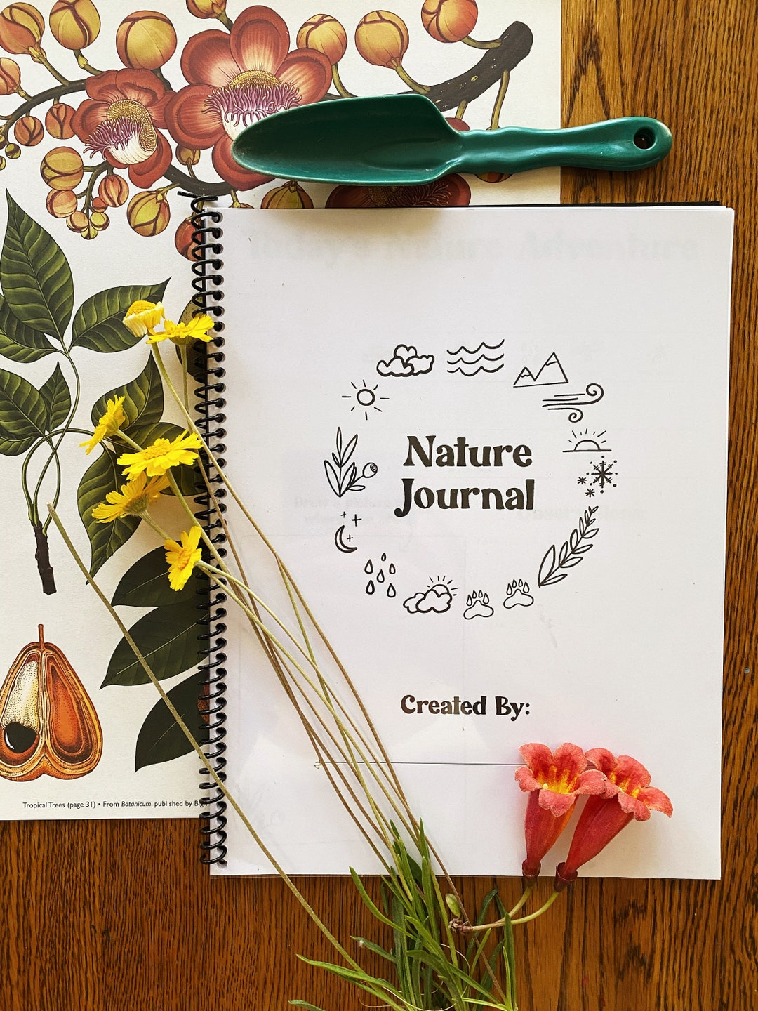 Kid's Nature Journal - Etsy