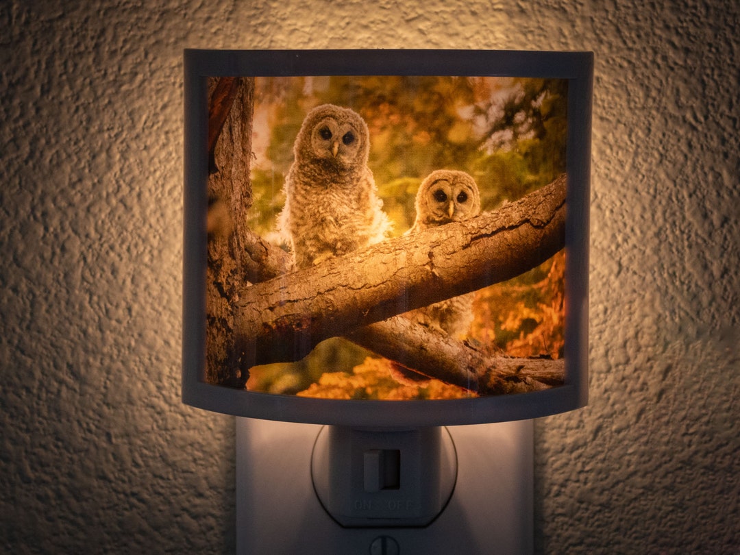 Baby Owls Plug in Wall Night Light for Kids, Unique Mothers Day Gift ...