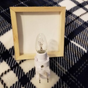 Canvas Owl Night Light, Owl Gift, Plug in Night Light, Barred Owl ...